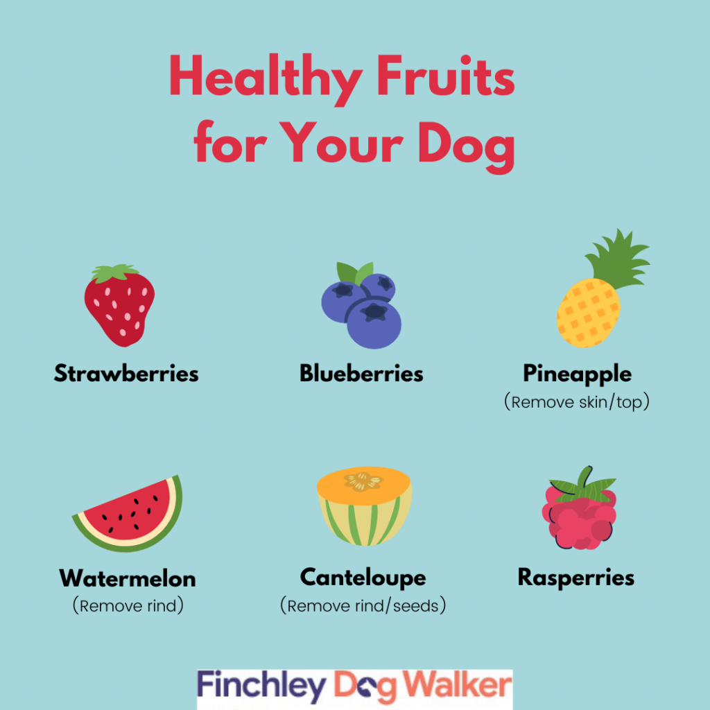 What Fruits Are Safe For Dogs To Eat Finchley Dog Walker What Fruits Are Safe For Dogs To Eat Finchley Dog Walker